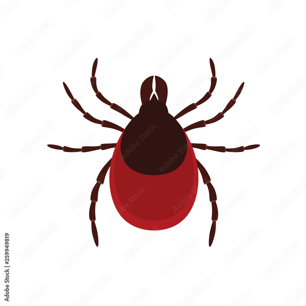 Mite parasites. Tick parasite. Acarus. Vector illustration Stock Vector ...