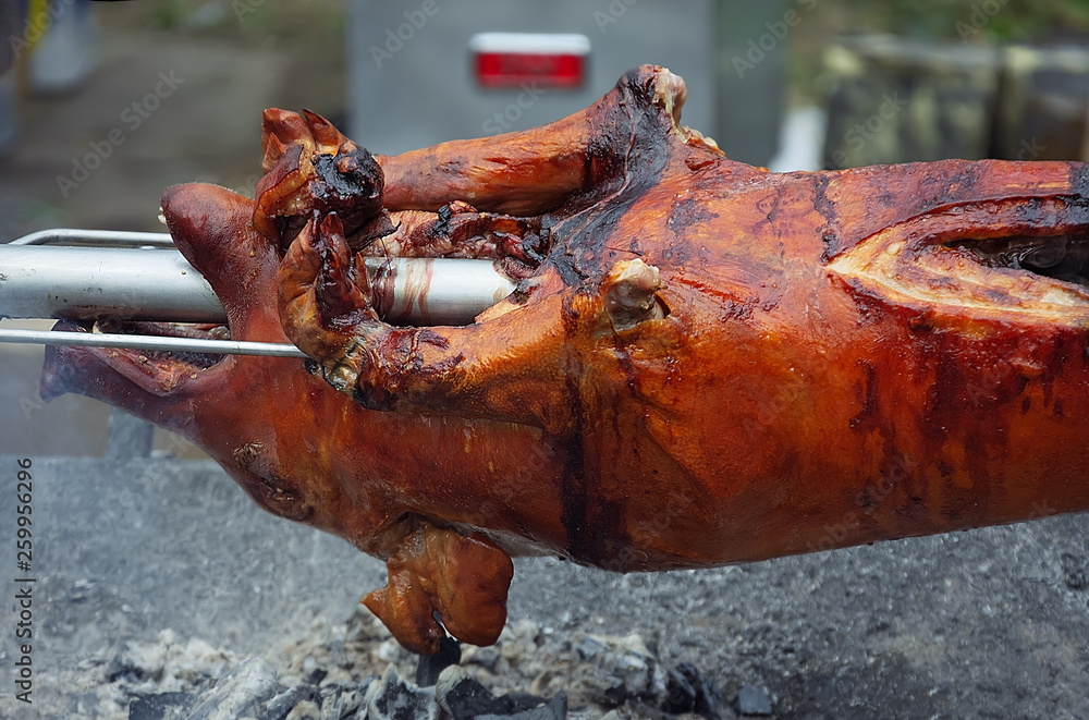 Pig is being grilled slowly on spit in traditional way, cooked with ...