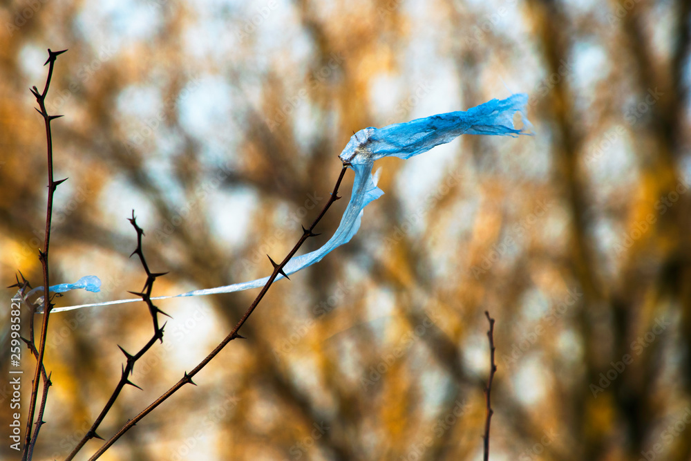 concept - nature conservation and plastic rejection, environmental ...