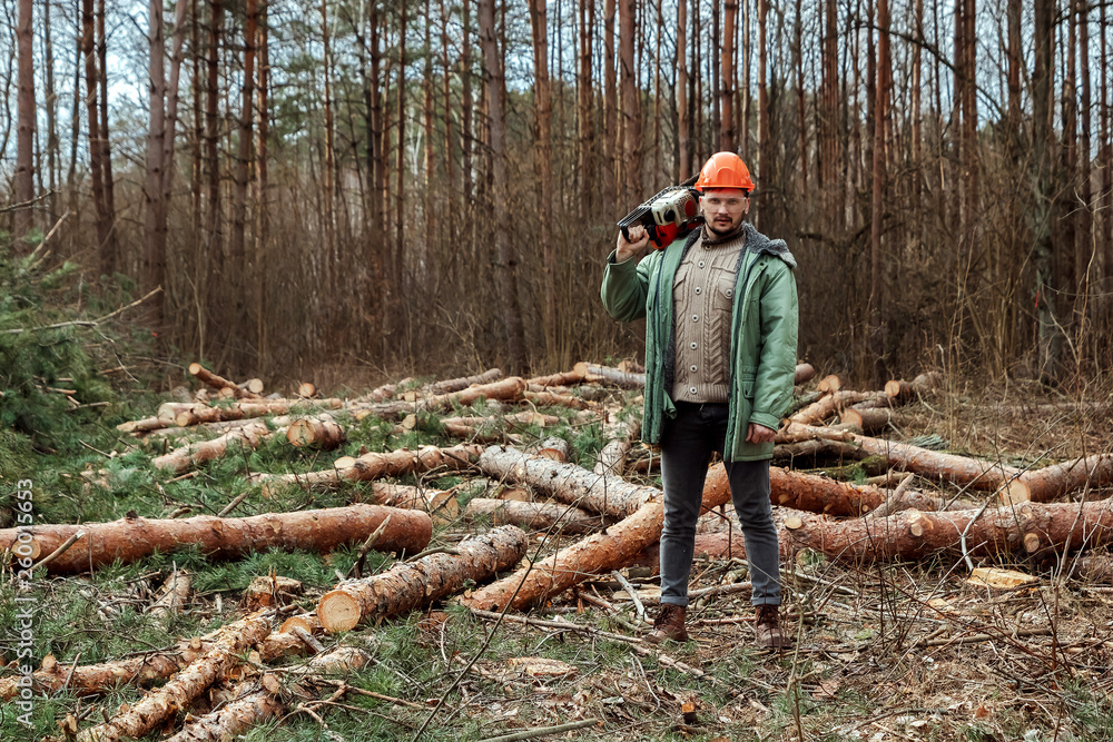 Loggers Cutting Down Trees