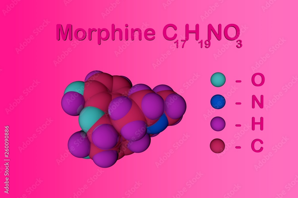Structural chemical formula and molecular model of morphine. Morphine ...