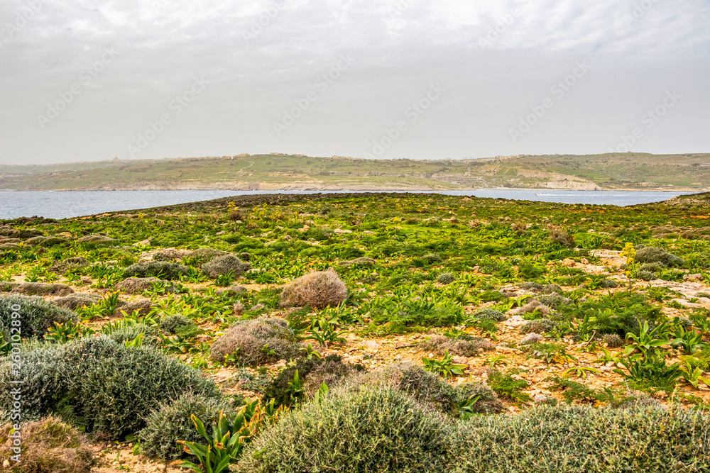 Comino landscape with overcast sky, island vegetation, part of the Blue ...
