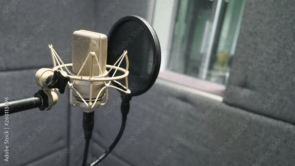 Studio microphone with shock mount and pop filter on professional ...