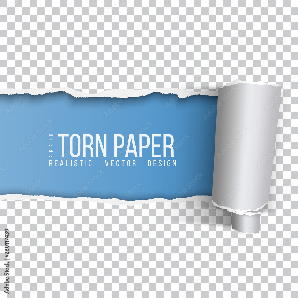 realistic torn paper with rolled edge Stock Vector | Adobe Stock