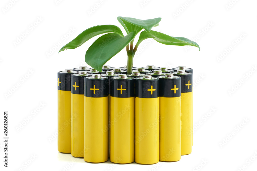 plant sprouts from alkaline battery on white background. concept of ...