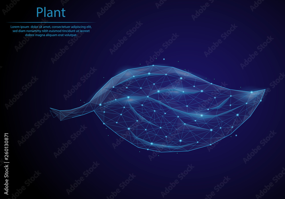 Abstract image leaf in the form of a starry sky or space, consisting of ...