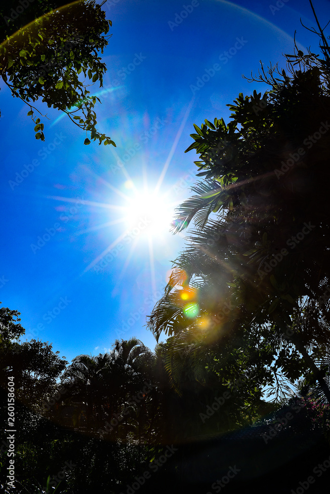 circular reflection sun rays, solar halo, light ring, propagation of ...