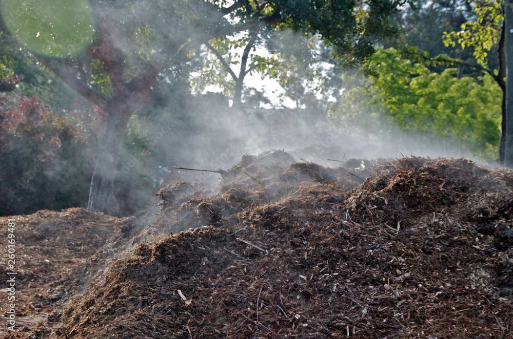 Steaming Compost Pile. Microorganisms from the soil eat the organic ...