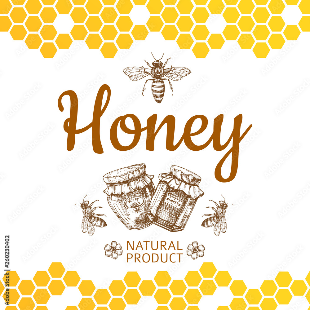 Vintage honey logo and background with vector bee, honey jars and ...