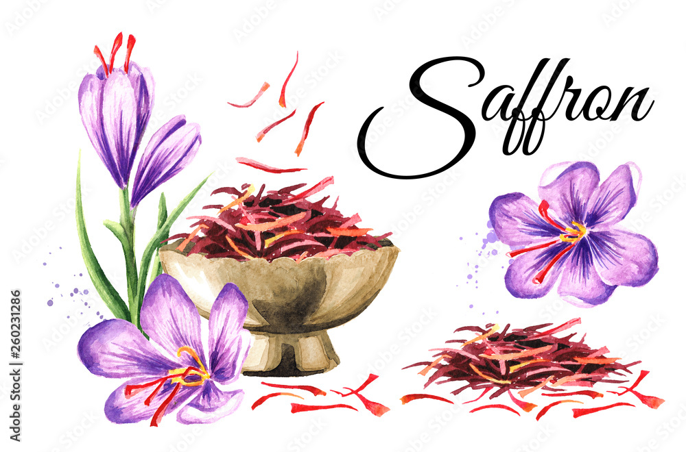 Saffron card. Watercolor hand drawn illustration, isolated on white ...