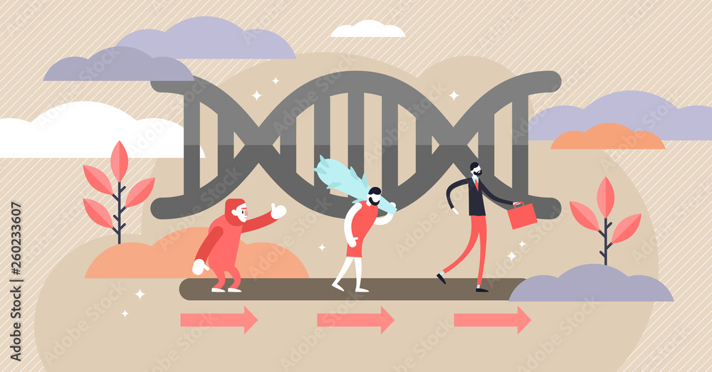 Evolution vector illustration. Flat tiny development theory persons ...