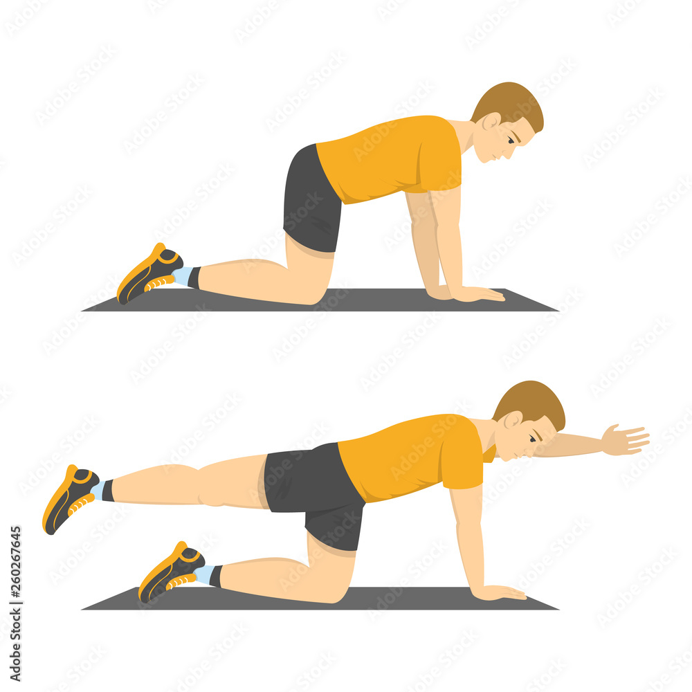 Man doing bird dog exercise. Exercise for balance Stock Vector | Adobe ...