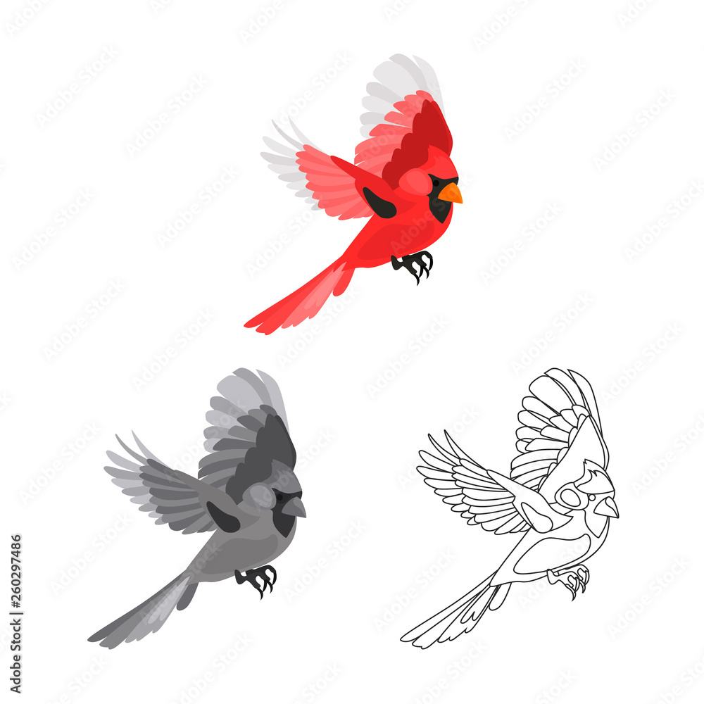 Flying Cardinal Silhouette