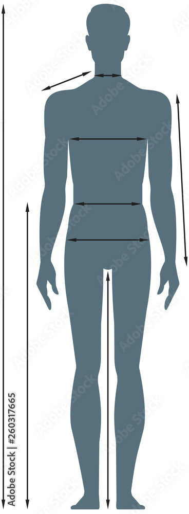 Diagrams of the male body measurements in full length. Template for ...