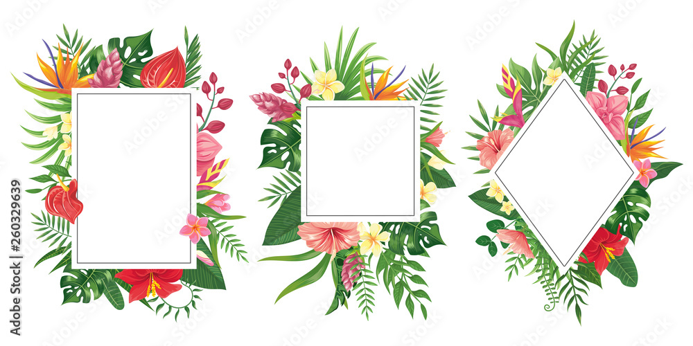 Tropical Flower Border Design Vector | Best Flower Site