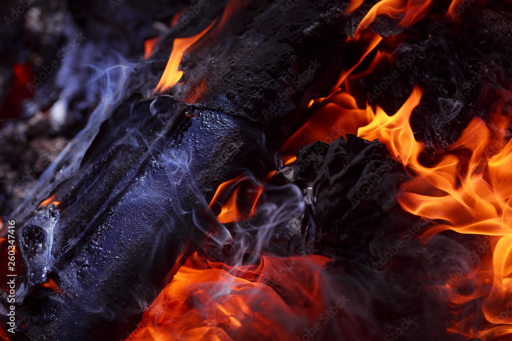 Flames. Fire safety. Burning trash. Careless behavior with fire. Black ...