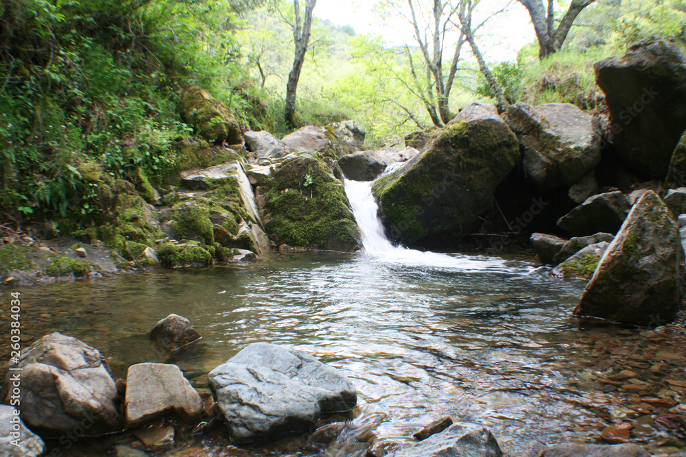 Beautiful Zen-Like Creek Coming To Life After Rain Storm In Northern ...