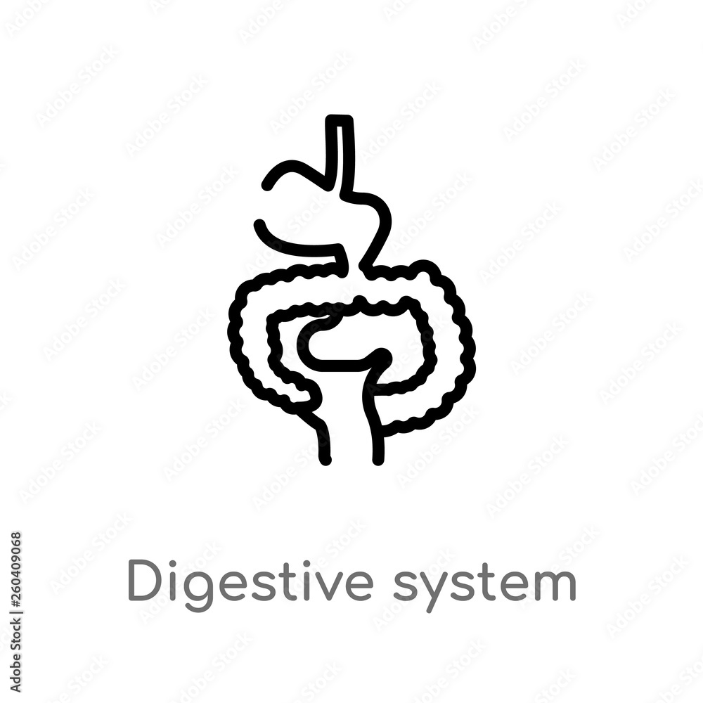 outline digestive system vector icon. isolated black simple line ...