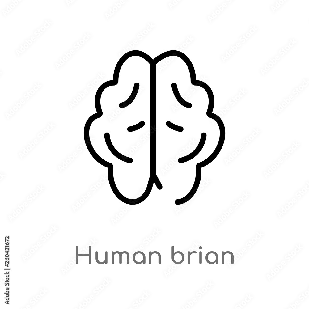 outline human brian vector icon. isolated black simple line element ...