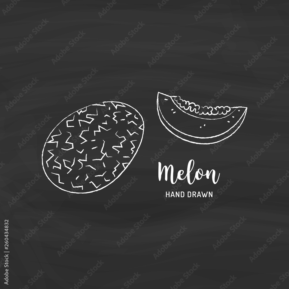 Melon fruit drawing. Sketch of melon with chalk on blackboard. Vector ...