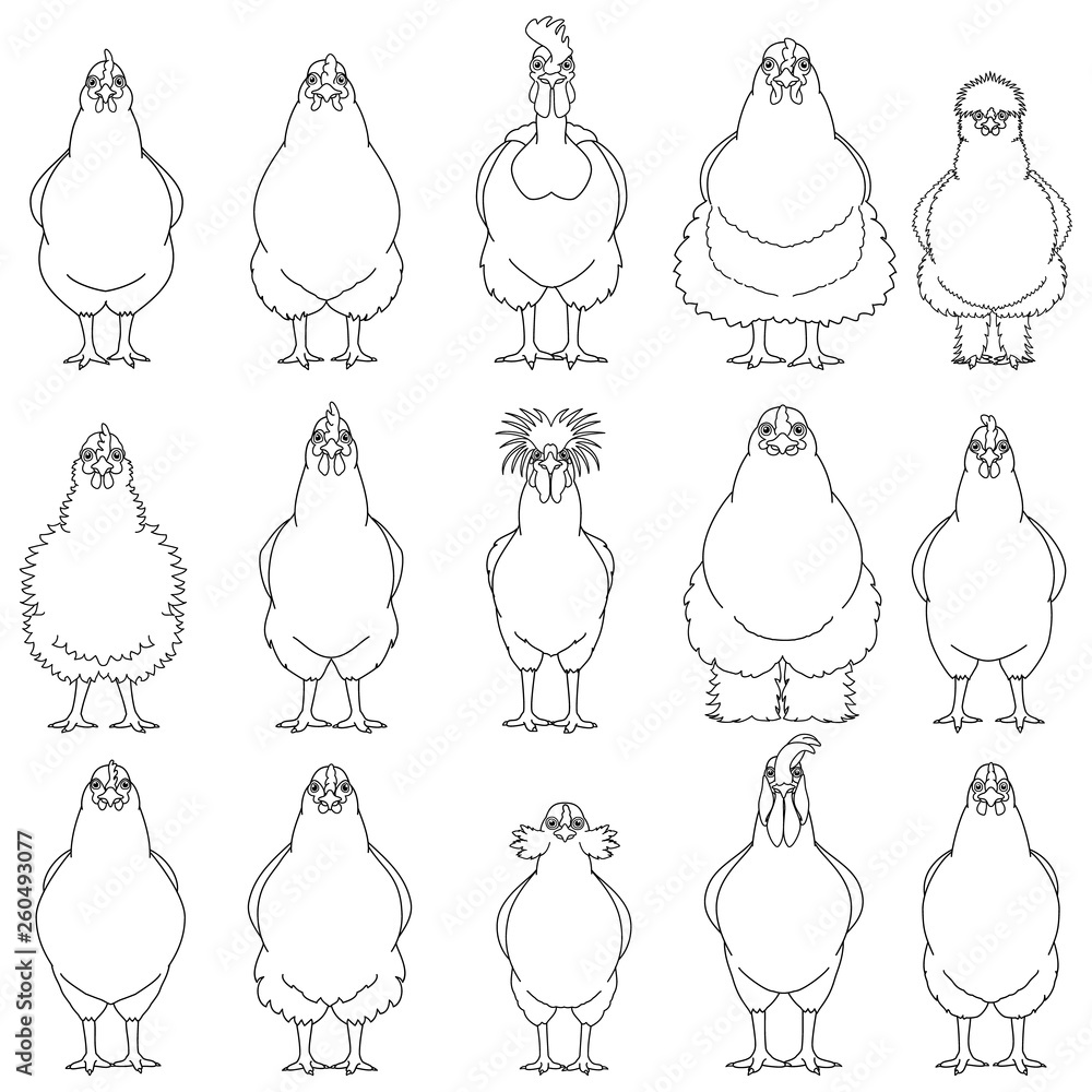 chicken line art set Stock Vector | Adobe Stock