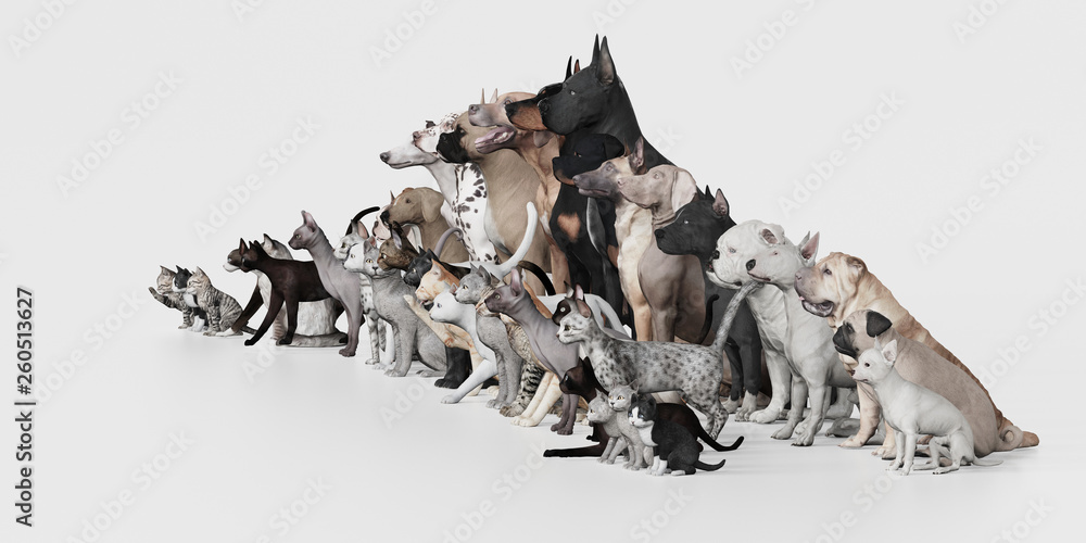 Large group of Dogs and Cats side view white floor 3d render Stock ...