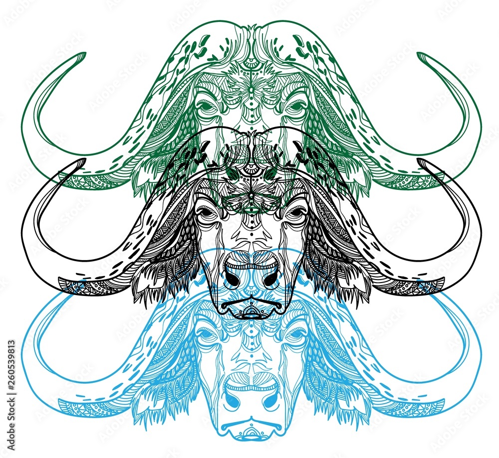 The head of a buffalo. Bull with big horns and fluffy ears. Drawing ...