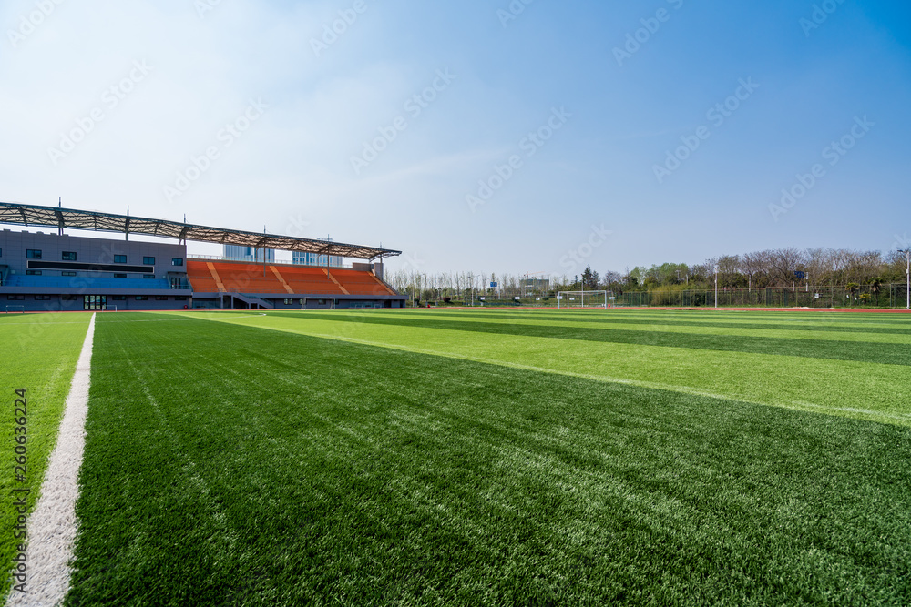 beautiful pattern of fresh green grass for football sport, football ...