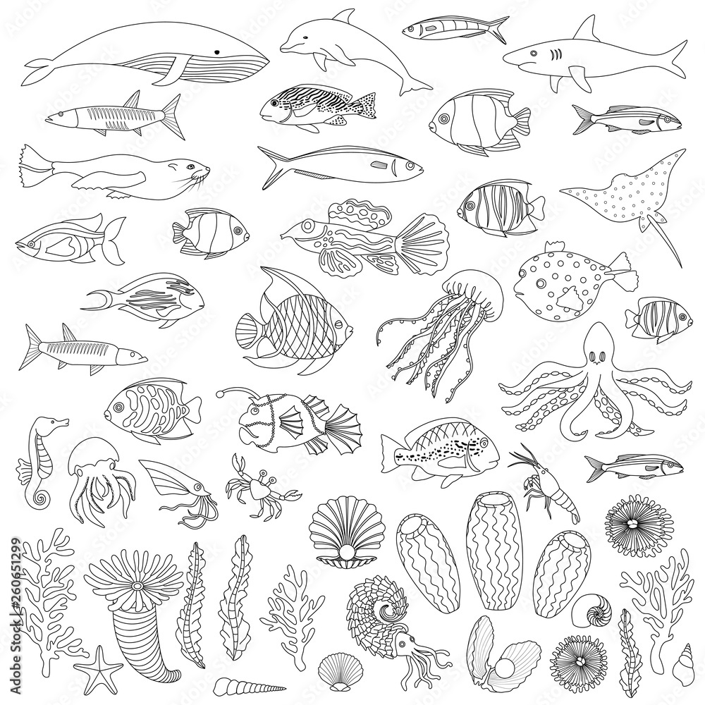 Ocean Fish Outlines