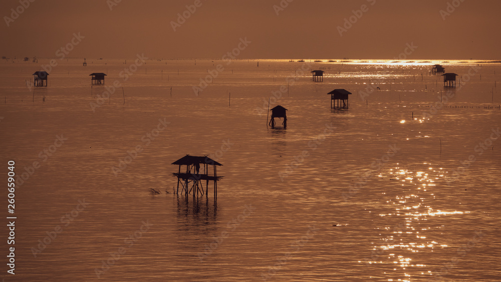 Bamboo hut for mussel farming in the sea while sunrise,Life of ...