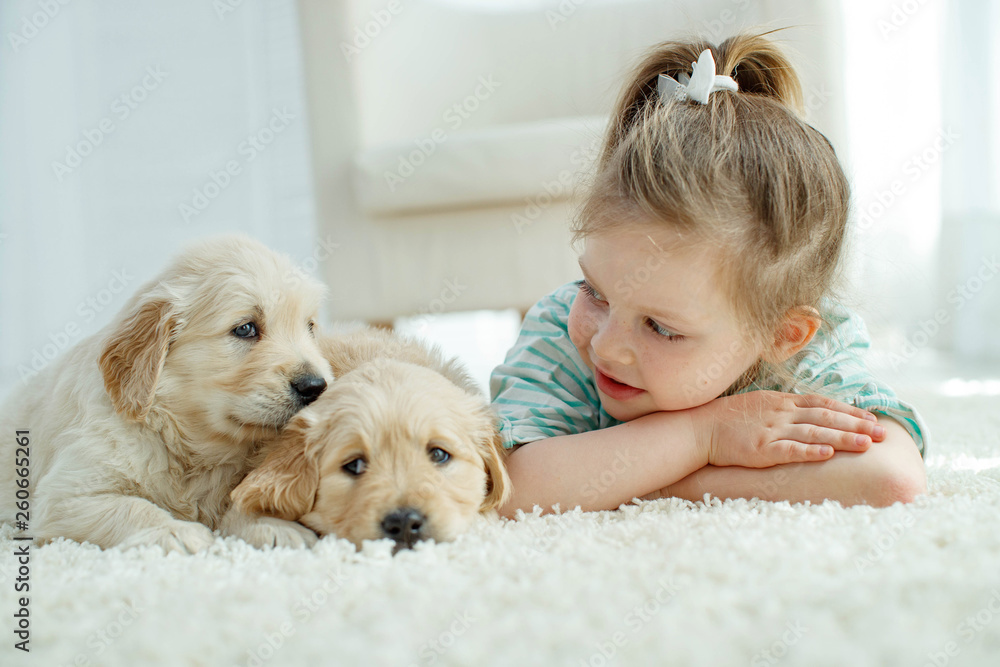 Child with a dog Stock Photo | Adobe Stock