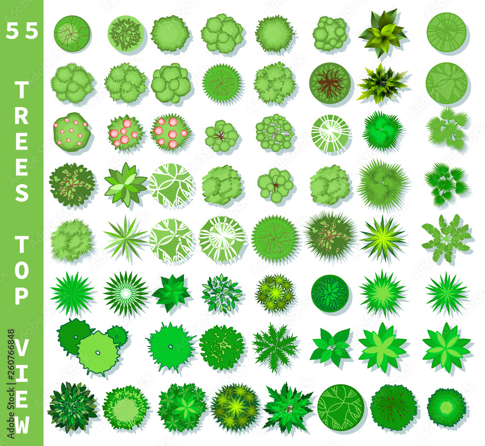 Different trees top view. View from above set for architectural and ...