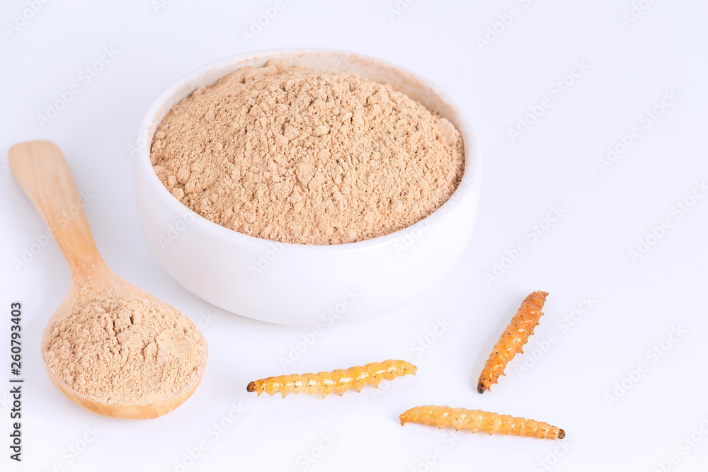 Bamboo worm powder. Bamboo Caterpillar flour for Insects eating as food ...