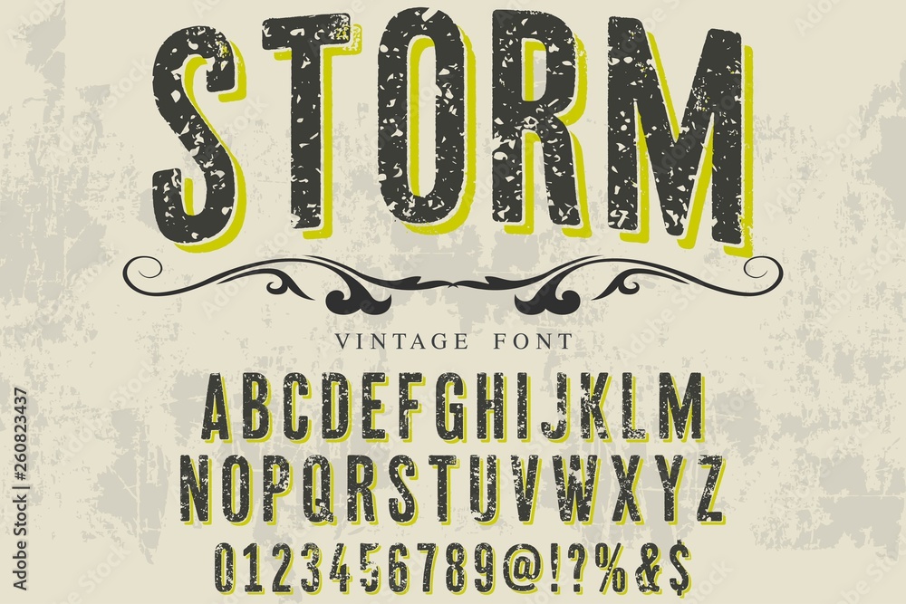 Font Script Typeface vintage script font Vector typeface for labels and ...