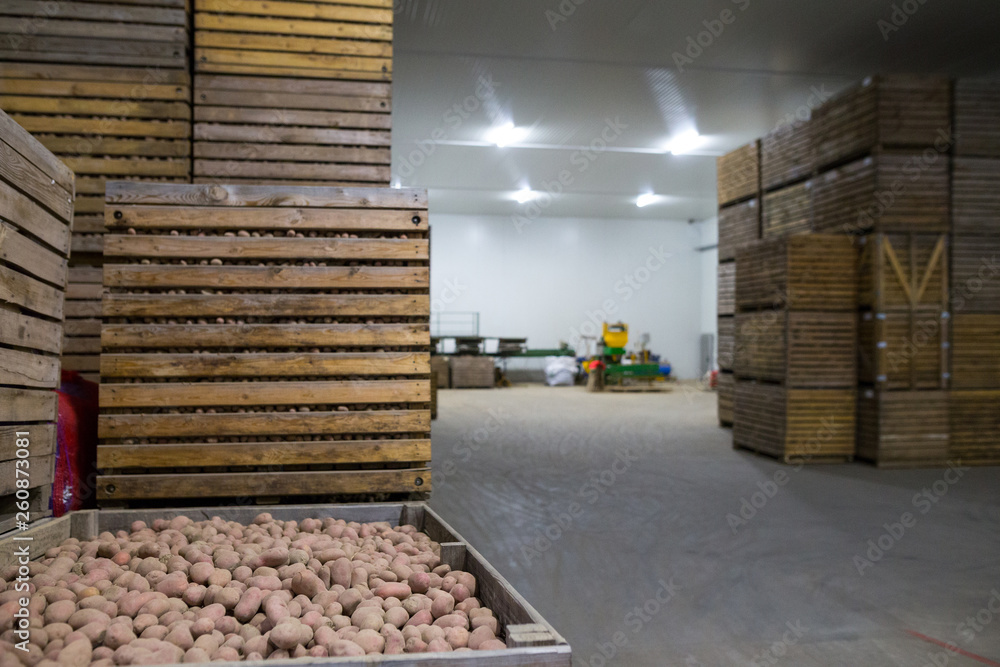 Potatoes storage. Crops warehouse. Dry cool storage. Stacked wooden ...