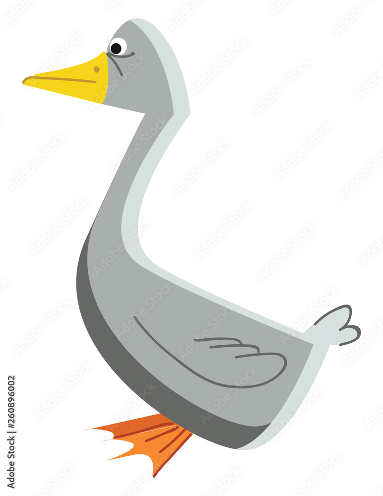 Drawings Of Swans Feet