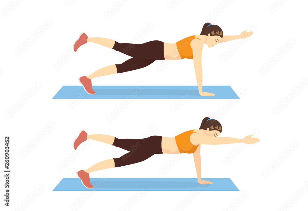 Woman doing bird dog plank exercise in left and right side ...