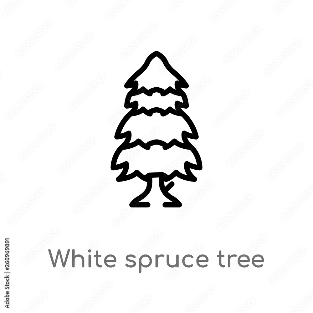 White Spruce Silhouette