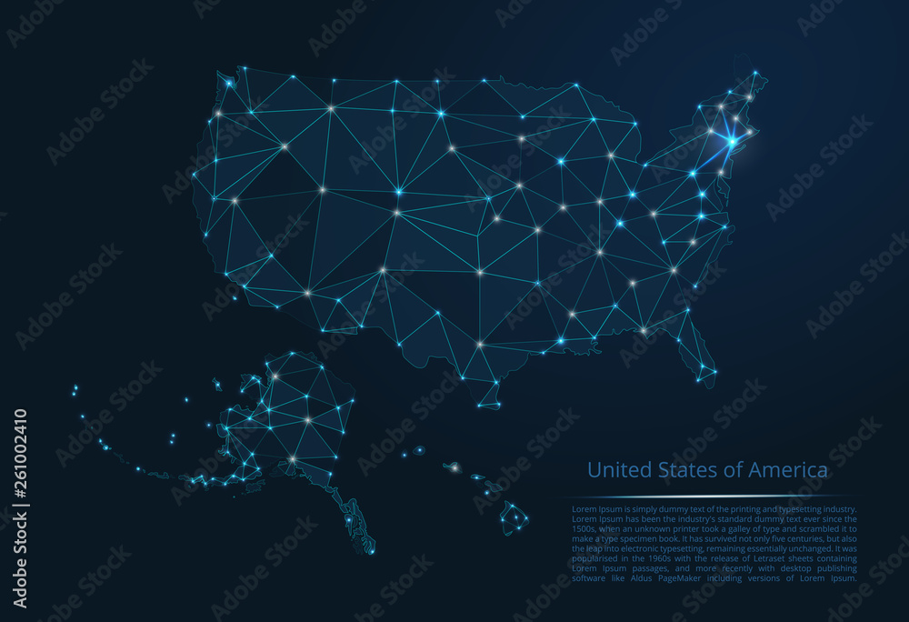 The map of the network of the United States of America. Vector low-poly ...
