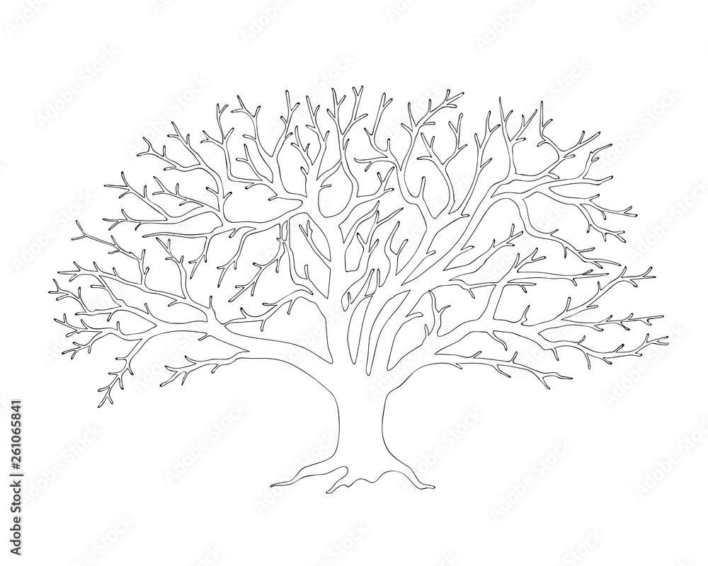 apple tree without leaves black outline Stock Vector | Adobe Stock