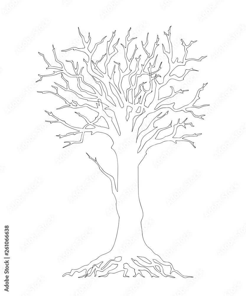 Tree Without Leaves Outline