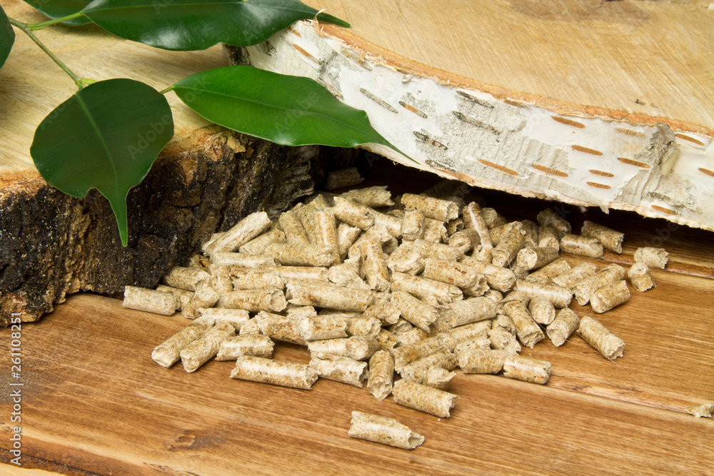Wood pellets, birch and twig with leaves. Biomass Pellets- cheap energy ...