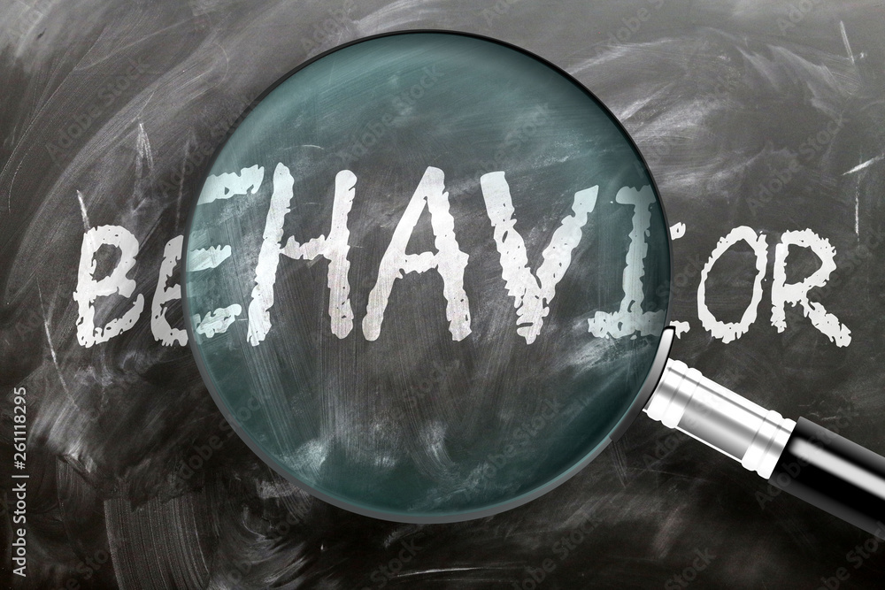 Learn, study and inspect behavior - pictured as a magnifying glass ...