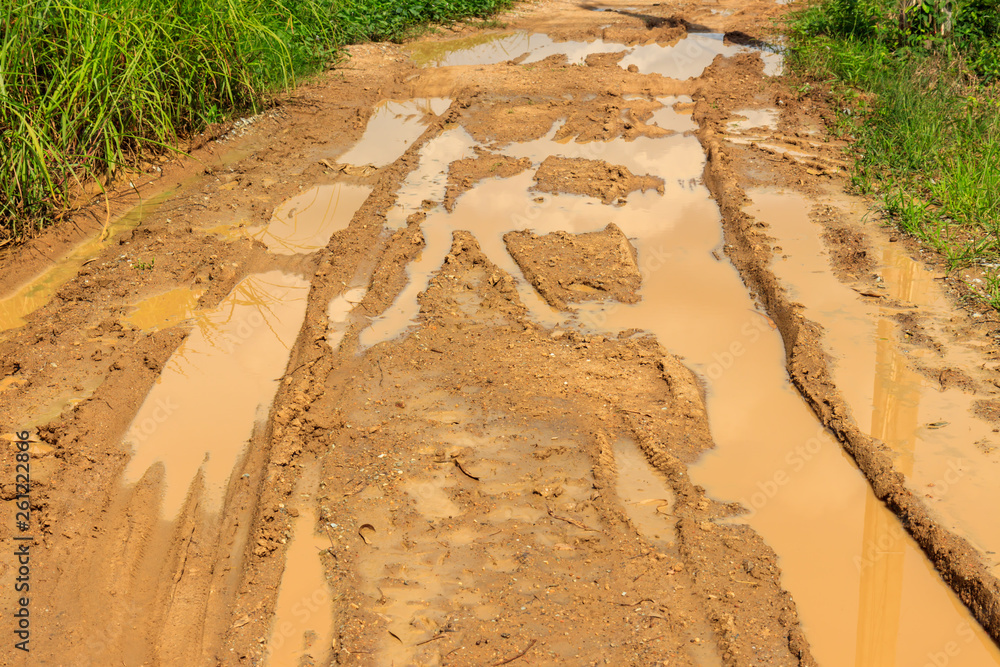 Muddy Road