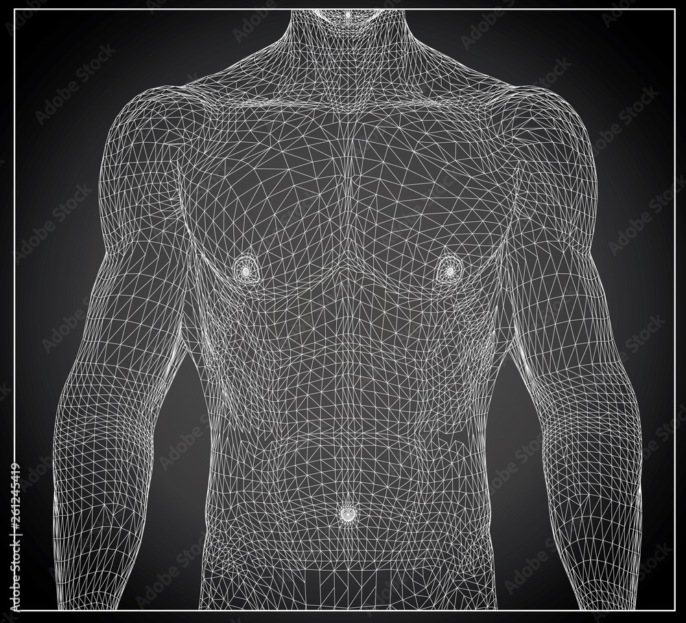 Vector concept or conceptual 3D wireframe human male or man head ...