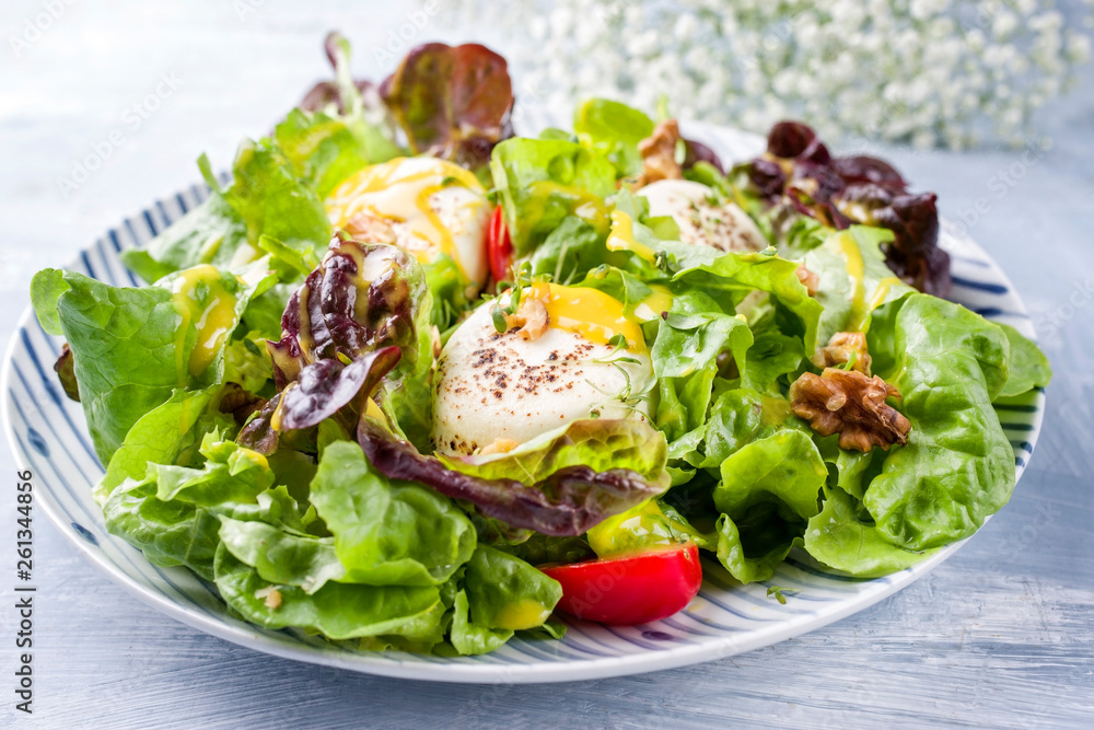 Traditional Germen summer lettuce with curled lettuce, goat cheese and ...