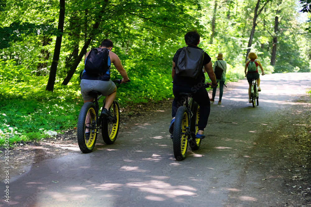 Fat biking riding in park on sunny day among many green trees. Fat ...