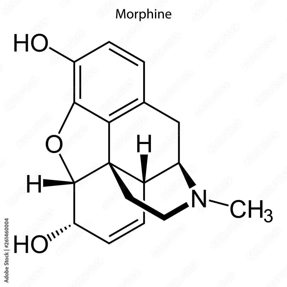 Skeletal formula of chemical molecule. Stock Vector | Adobe Stock