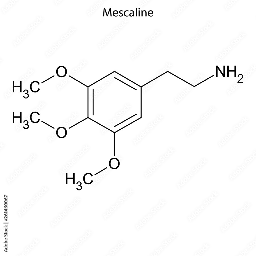 Skeletal formula of chemical molecule. Stock Vector | Adobe Stock
