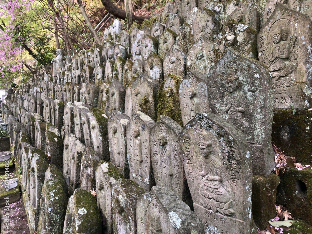 Shinto shrines are places of worship and the dwellings of the kami, the ...